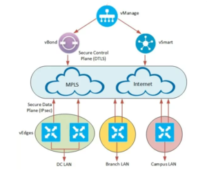 What is Cisco Viptela SD-WAN? A Beginner's Guide - InOpTra